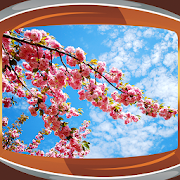 Sakura Live Wallpapers Mod apk download - Sakura Live Wallpapers MOD ...