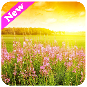 Flower Spring Live Wallpaper Mod apk download - Flower Spring Live ...